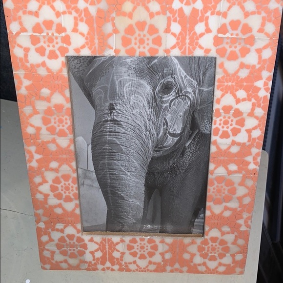 Cost Plus World Market | Accents | Cost Plus World Market Batik Style ...